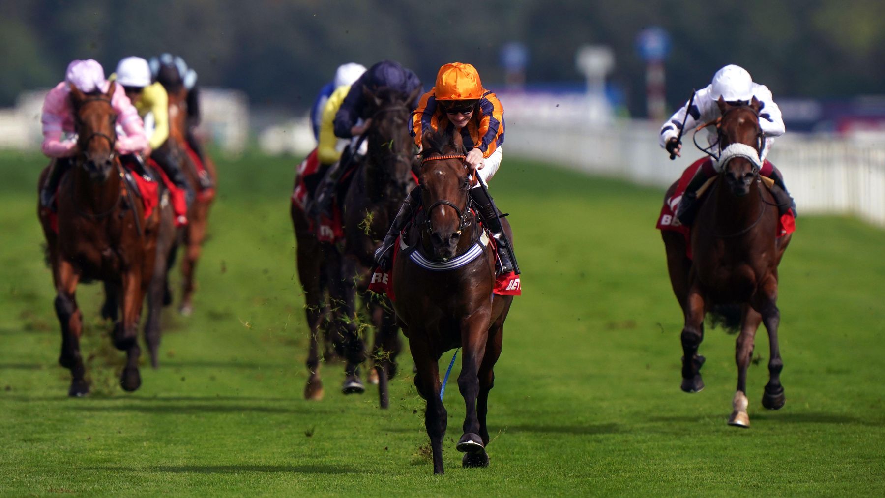 Alex Hammond tips: Racing blog ahead of Lincoln day at Doncaster