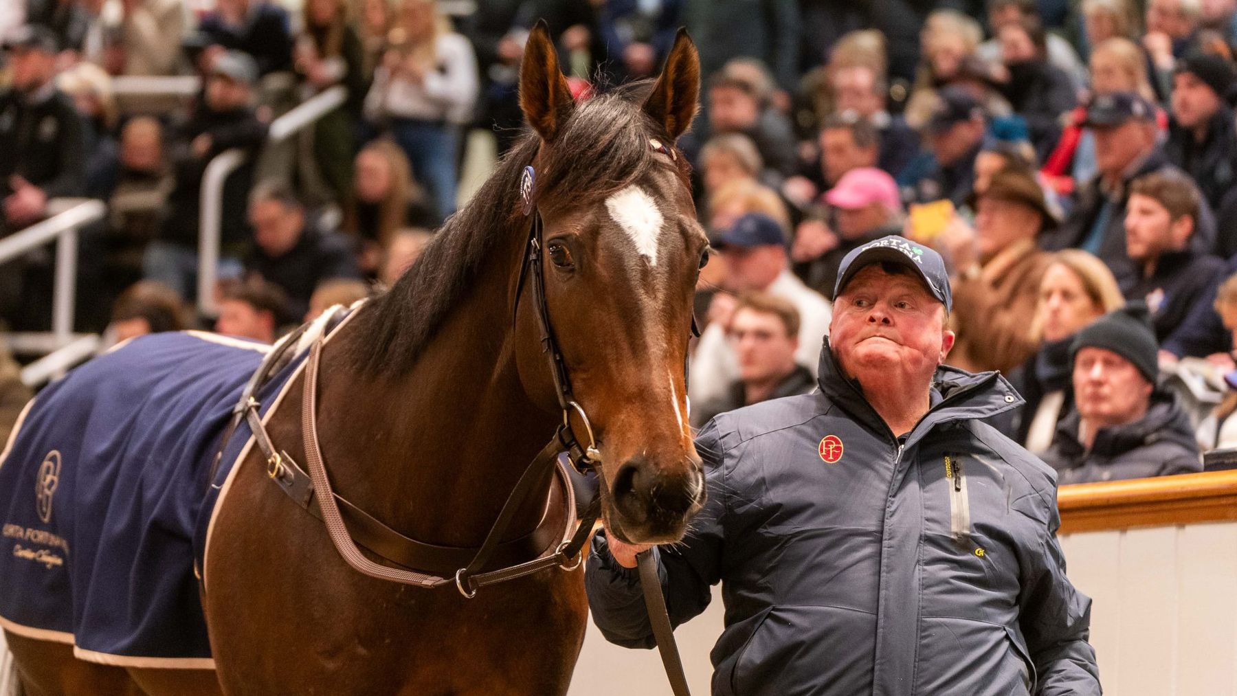 Porta Fortuna sells to Coolmore for 4.5m Guineas