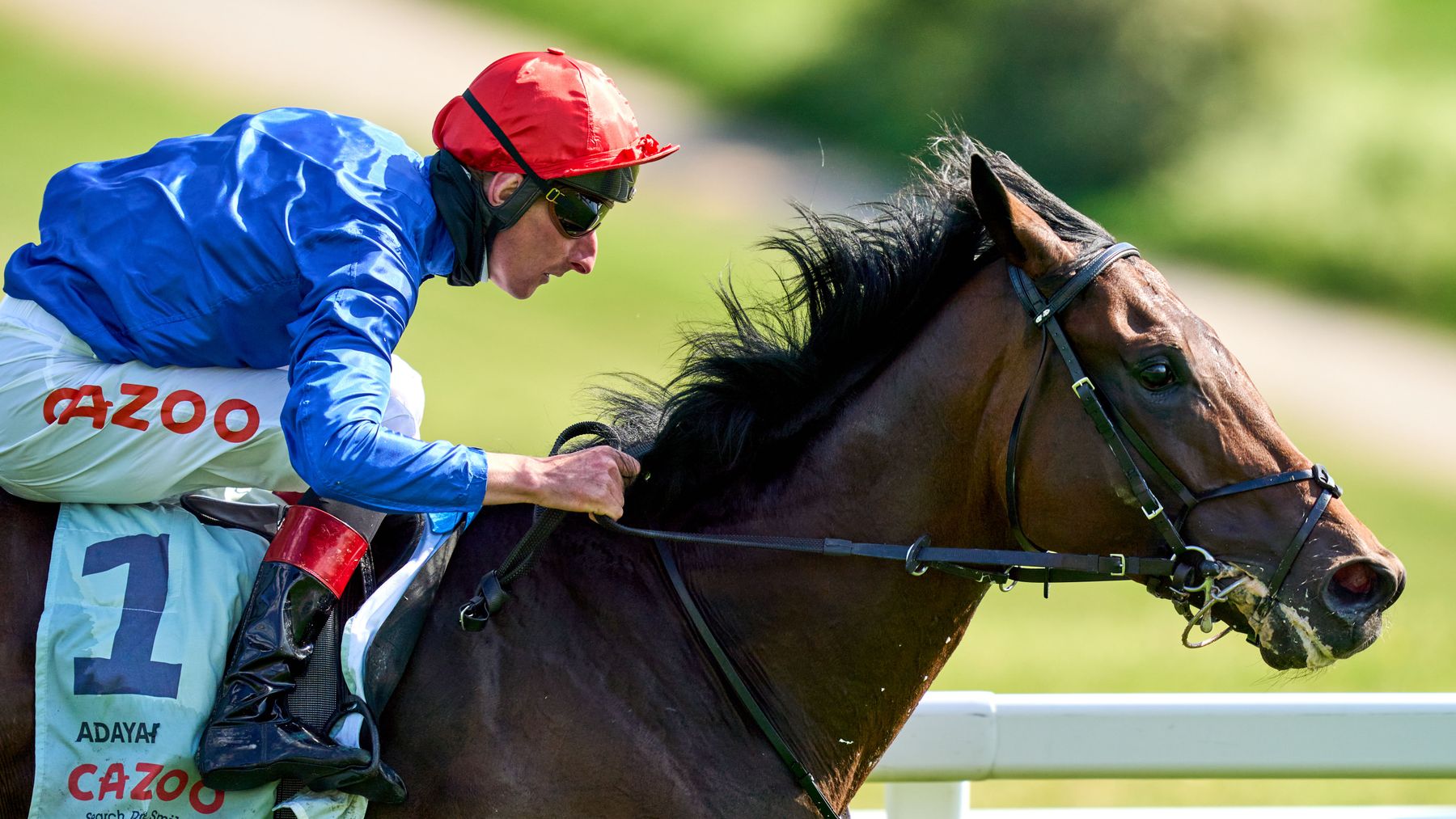 Big-race preview: In-depth guide to the Betfred Derby from Timeform ...