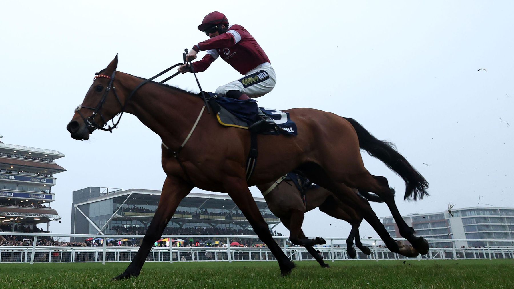 Newbury Super Saturday: Graham Clark reaction