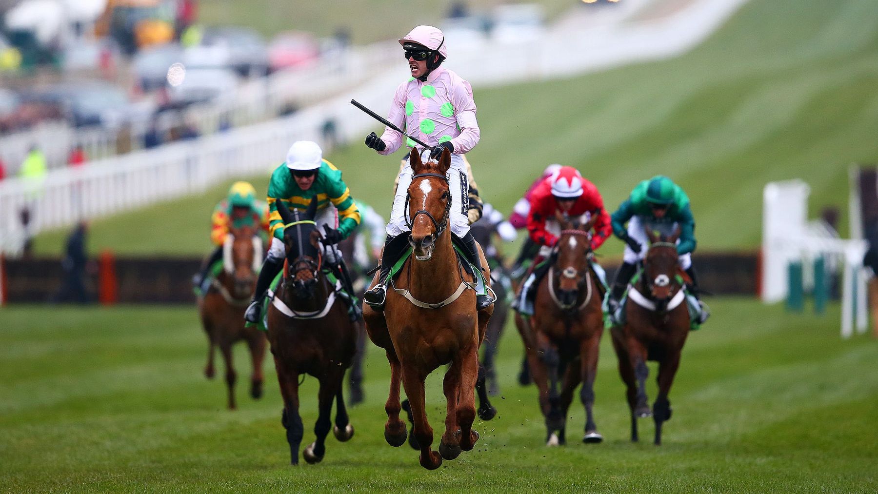 The Willie Mullins multiple and Annie Power's famous Cheltenham ...