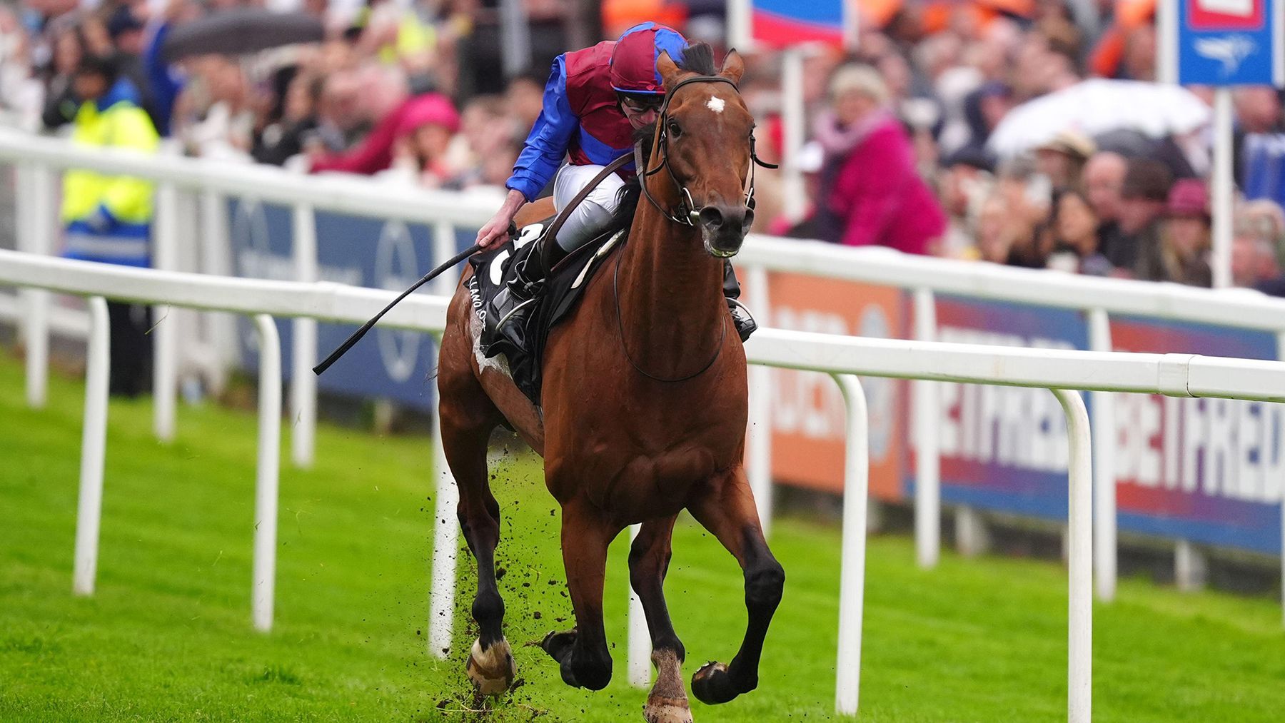 Luxembourg retired to stand as National Hunt stallion
