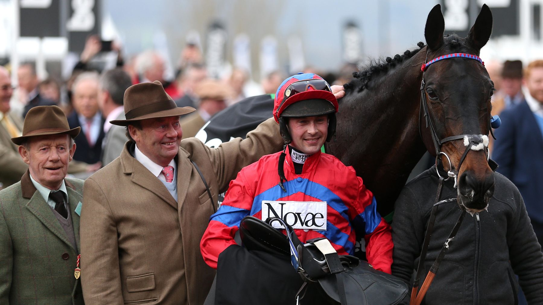 Nicky Henderson covering Sprinter Sacre vets bill after confusion over ...