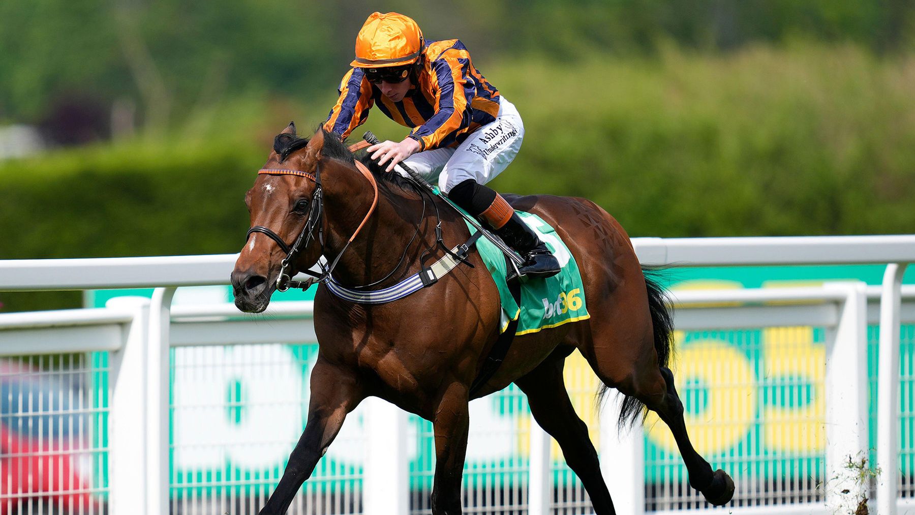 Lockinge Stakes preview: Roger Teal excited about Dancing Gemini