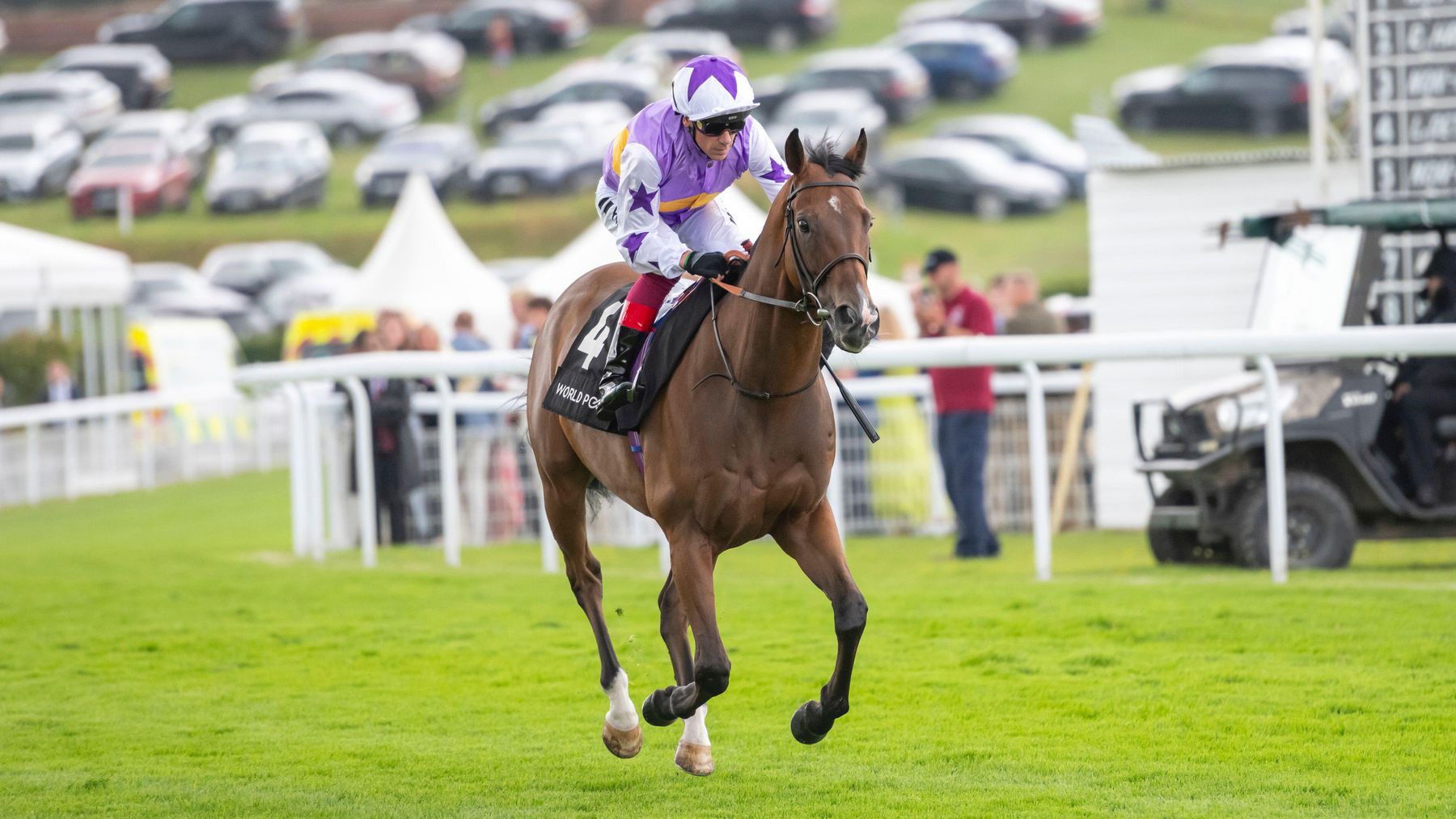 Qatar Goodwood Fetstival preview: Ralph Beckett stable tour