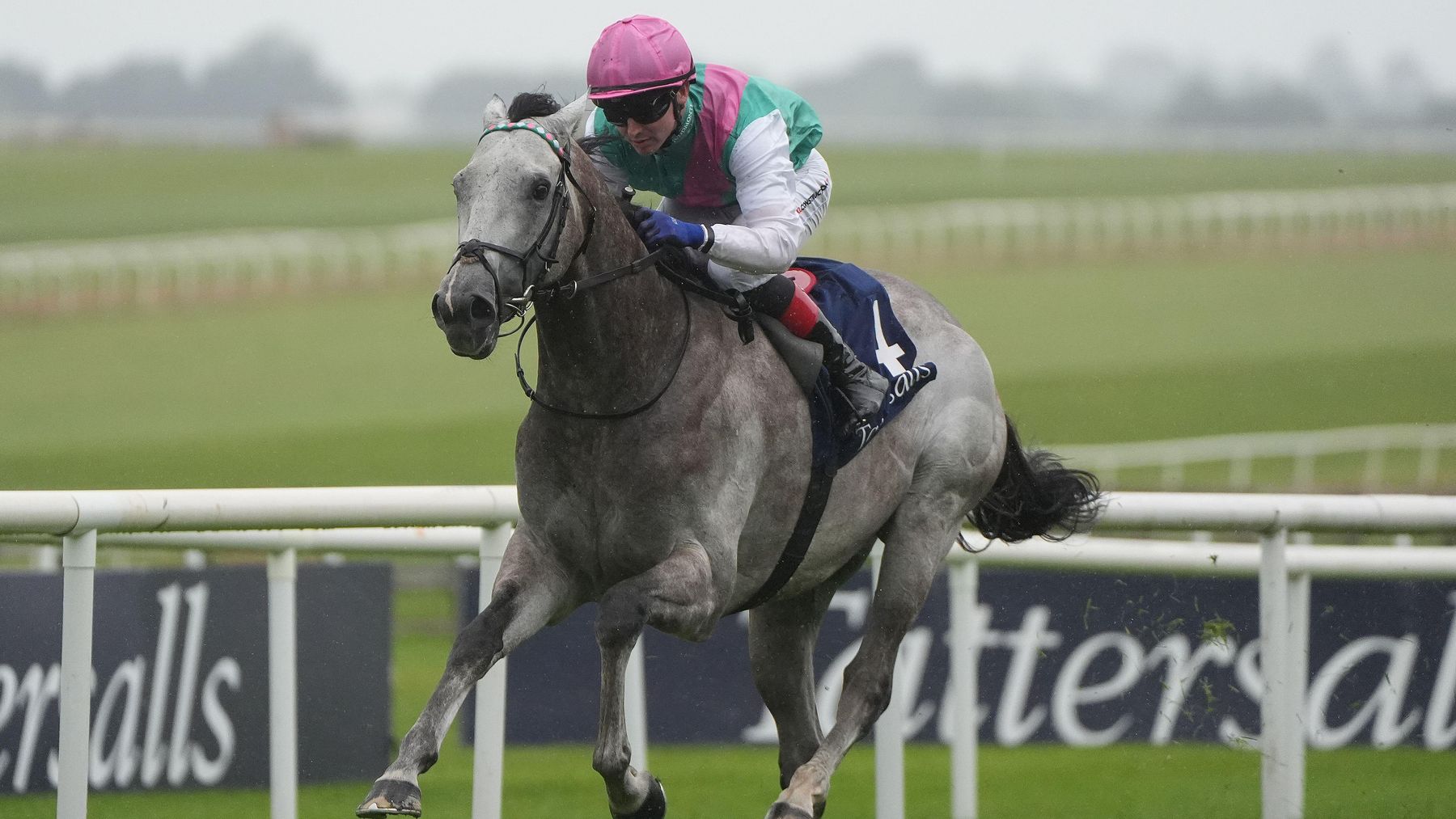 St James's Palace and Coral-Eclipse plan for Field Of Gold