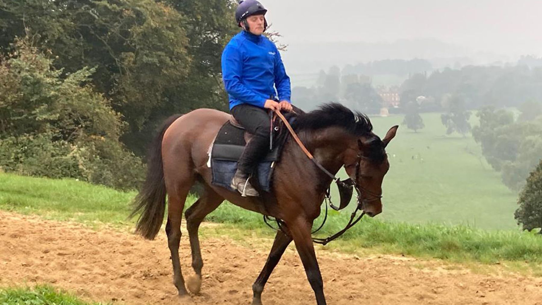 Joe Tizzard Stable Tour ahead of 2023-24 National Hunt season