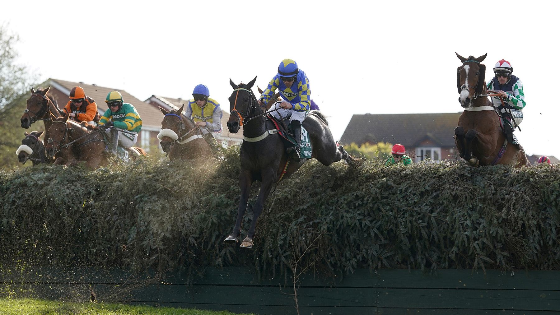 Cross-country king Roi Mage still reigning at 13 ahead of Becher Chase ...