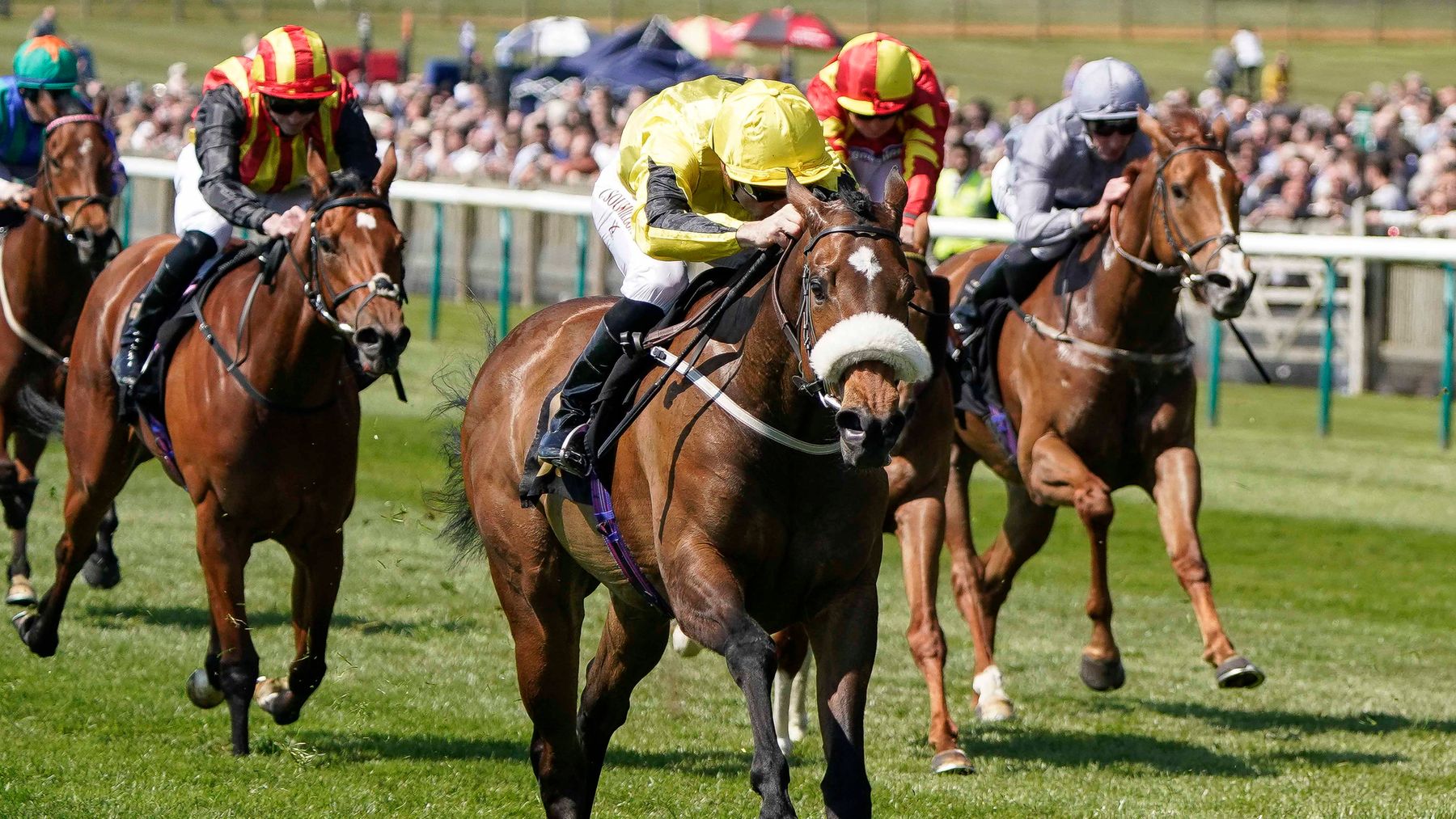 Richard & Peter Fahey: Two-year-old stable tour