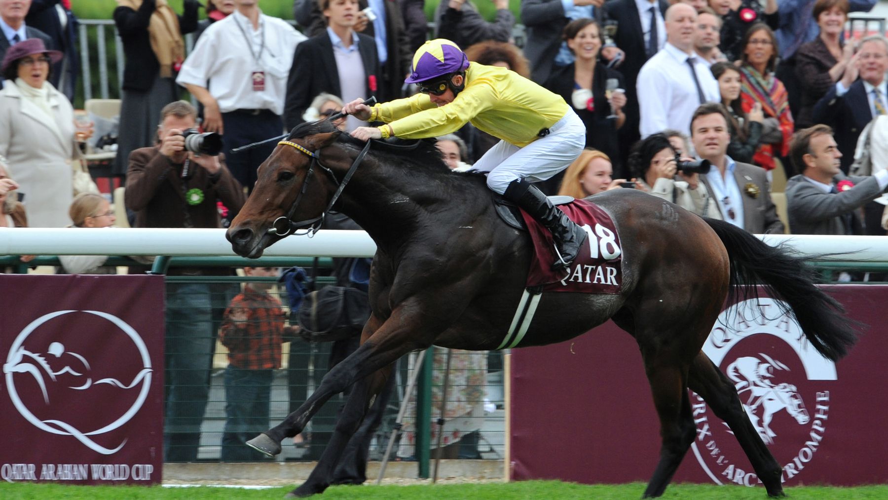 Horse racing analysis: How does Baaeed compare to Frankel on Timeform ...