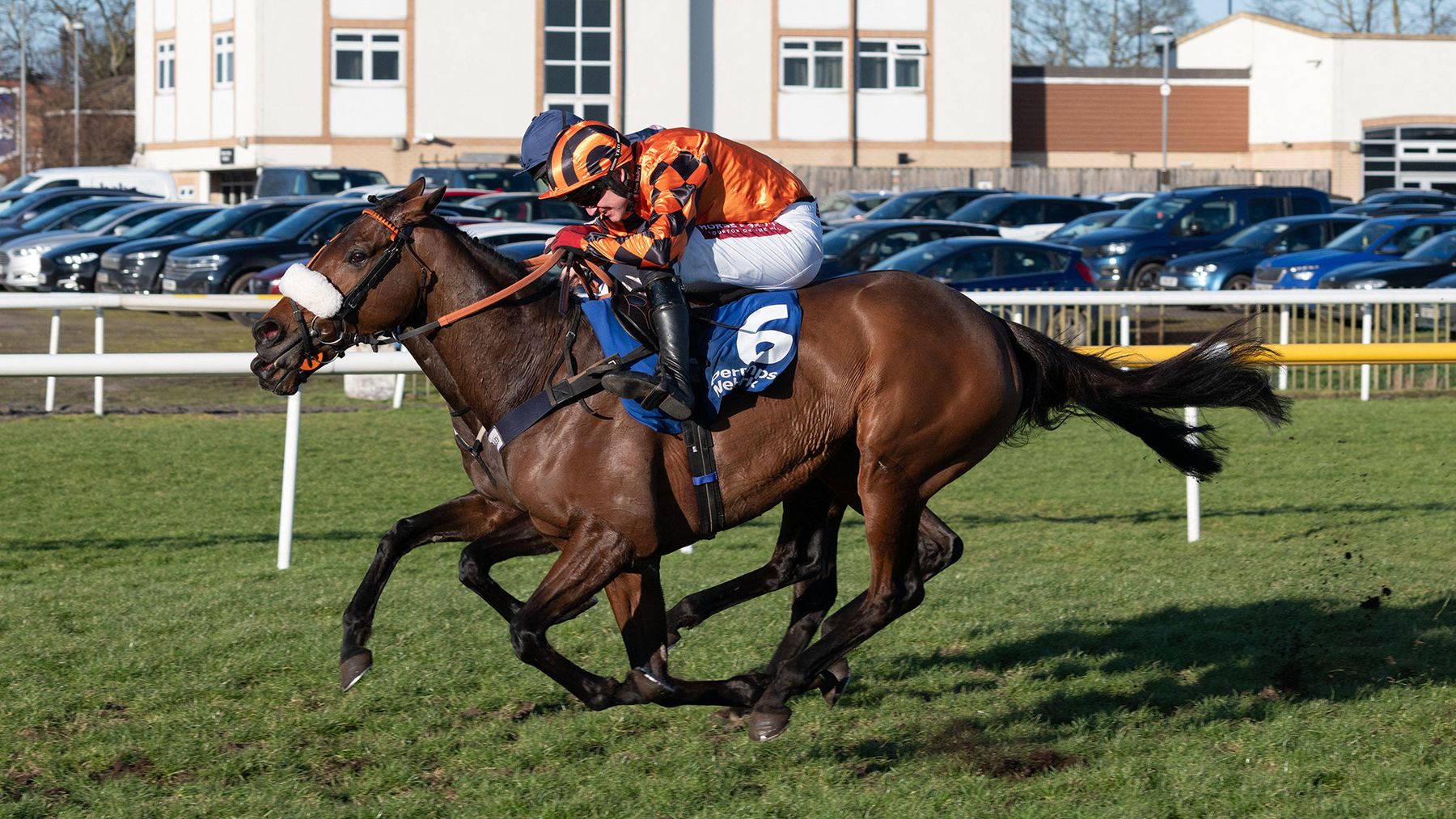 Hampton Novices’ Chase preview: Moon Rocket expected to enjoy Windsor