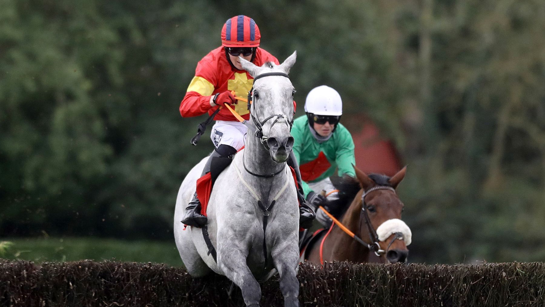 Gavin Cromwell horses Vanillier and Stumptown popular for Randox Grand ...