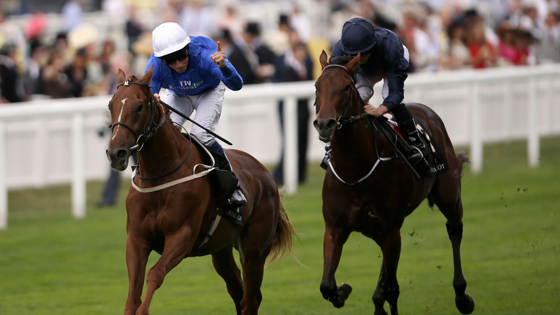 Dan Briden Two-Year-Old Guide: Charlie Johnston