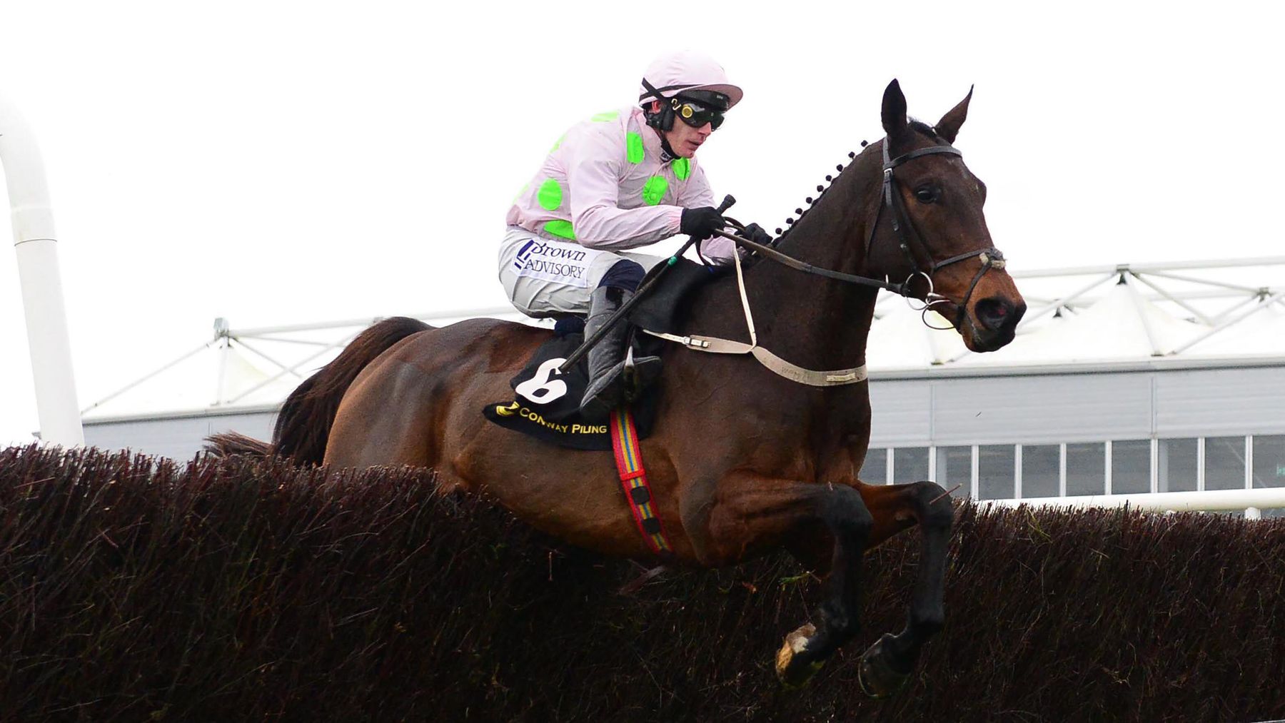 Ladbrokes King George VI Chase: Willie Mullins takes out all entries