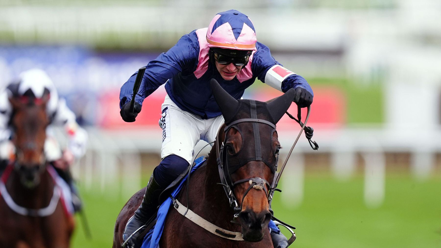 Willie Mullins explains why Kopek Des Bordes misses the Irish Arkle