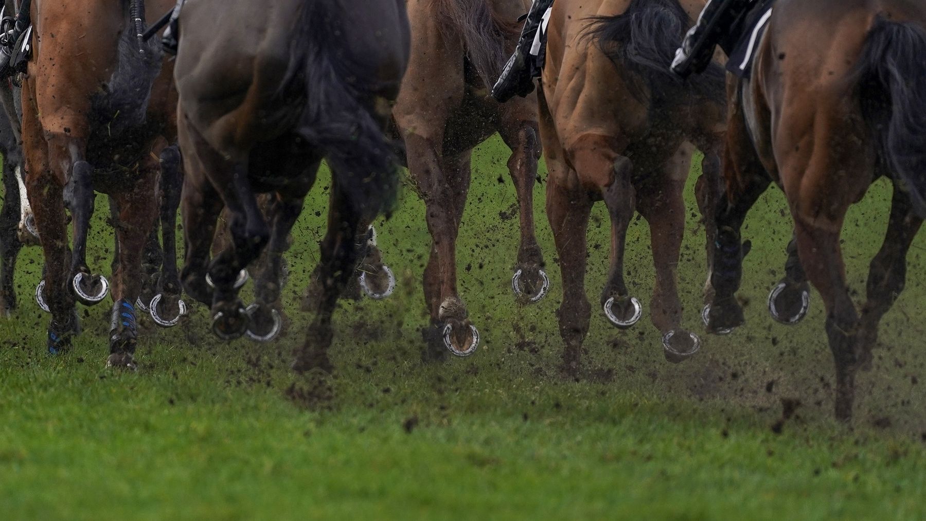 Trainer Luke Comer banned for three years and facing huge legal bill