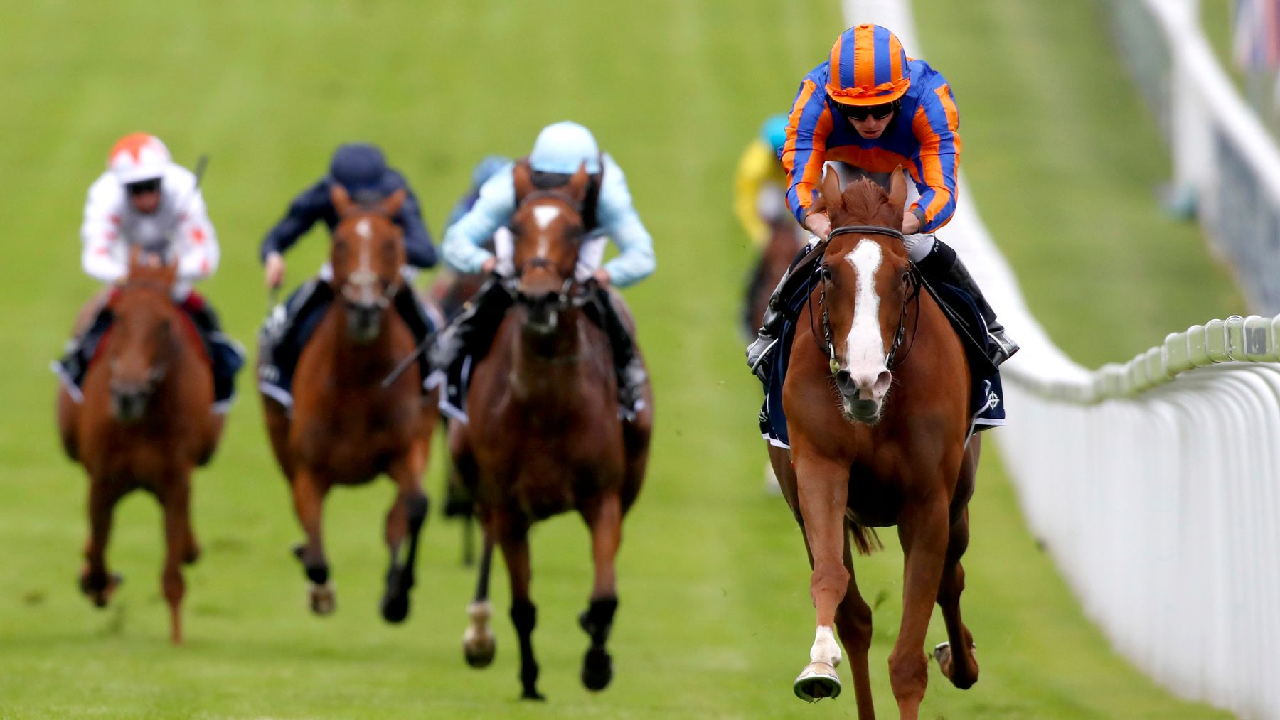 Dan Briden Two-Year-Old Guide: Dylan Cunha and George Scott