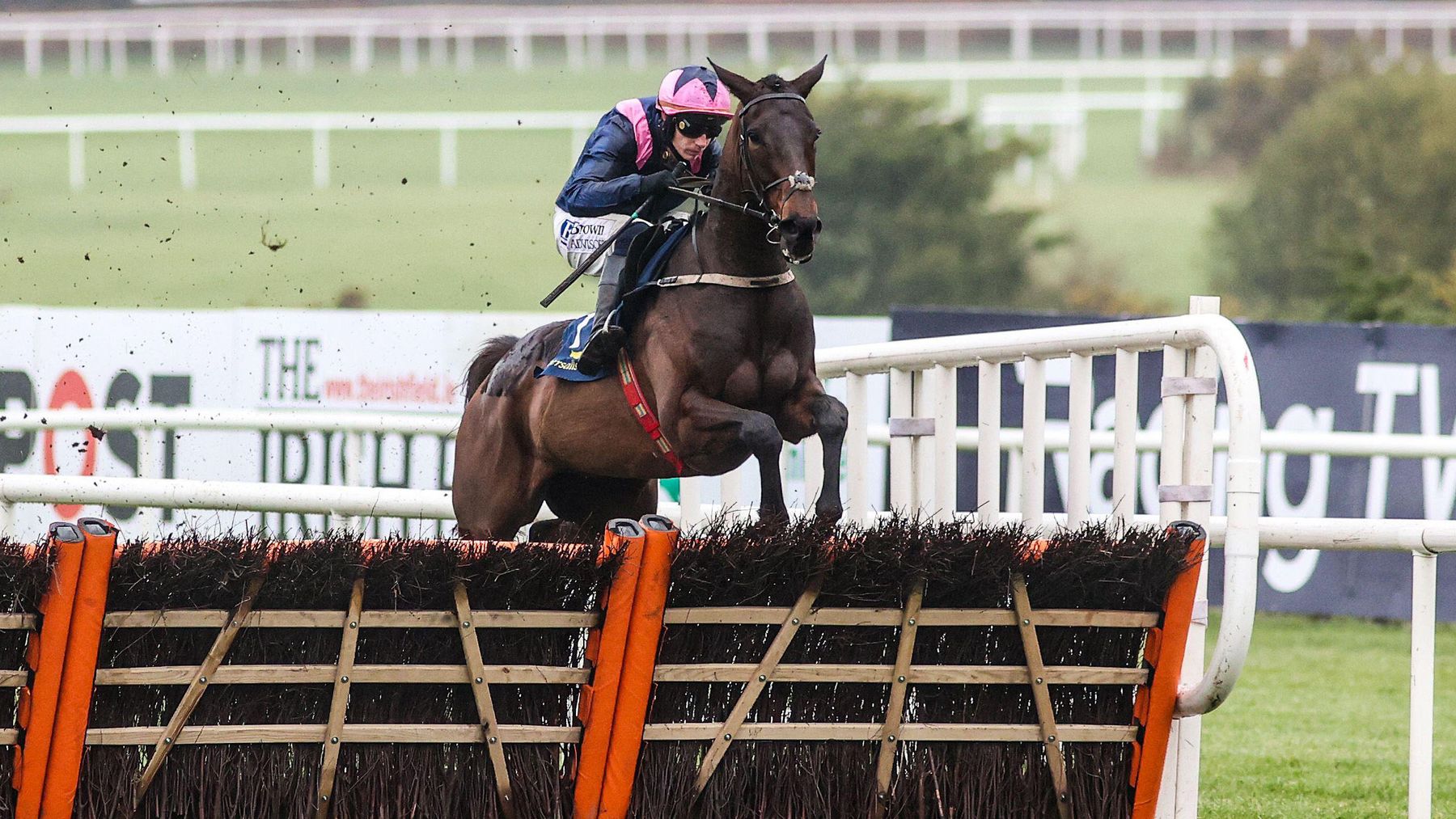Timeform ratings analysis | Cheltenham Festival contender Kopek des Bordes