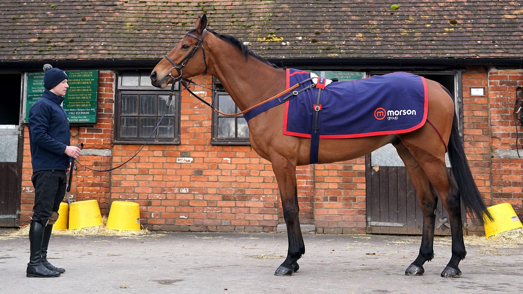 Paul Nicholls Stable Tour: Cheltenham Festival 2024 preview including ...