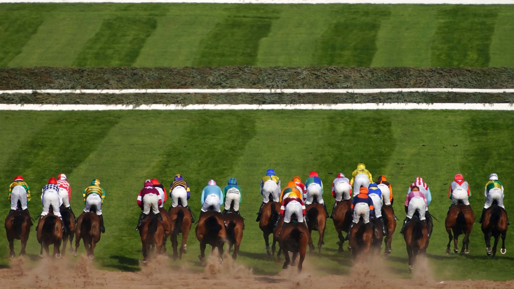 Grand National beaten horses reaction: All roads lead back to Aintree ...