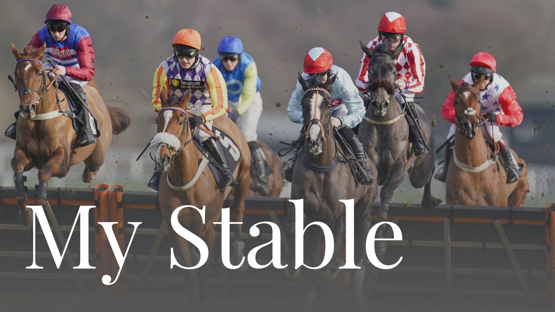 My Stable: Five horses to follow after Saturday's high-class racing