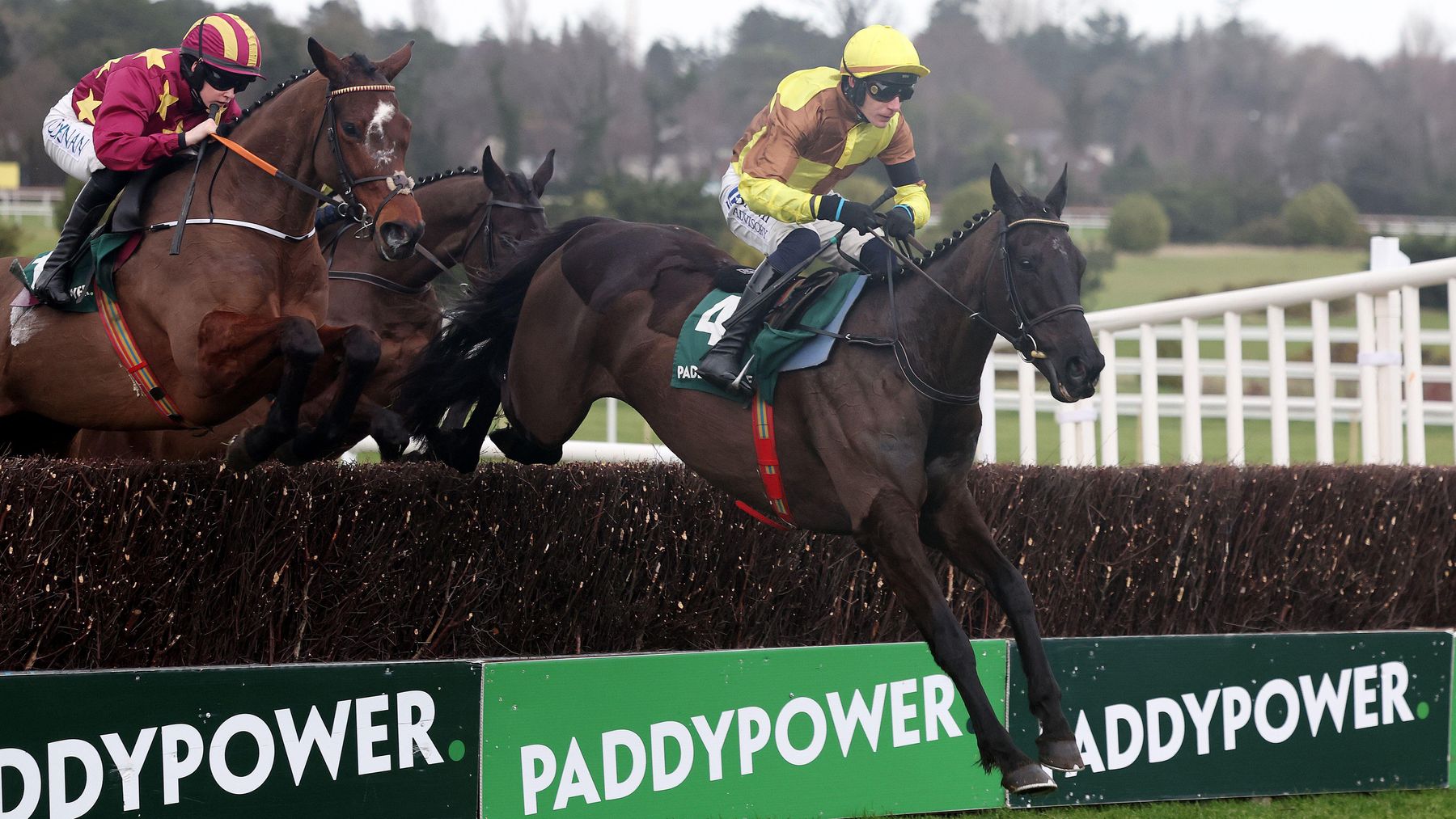 Dublin Racing Festival latest racecards and betting for Leopardstown ...