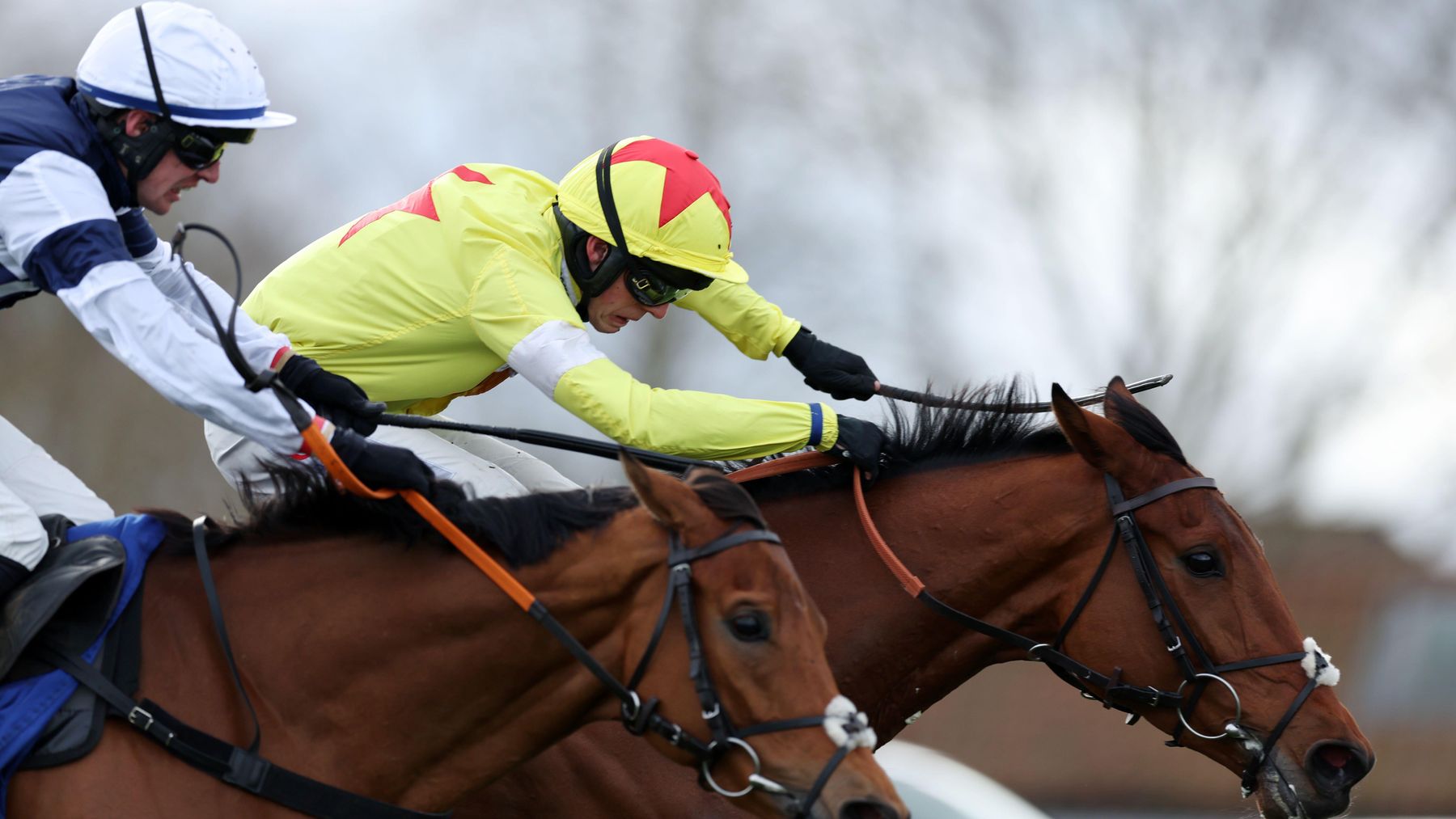 Saturday reflections as Sam Thomas duo shine at Kempton including the ...