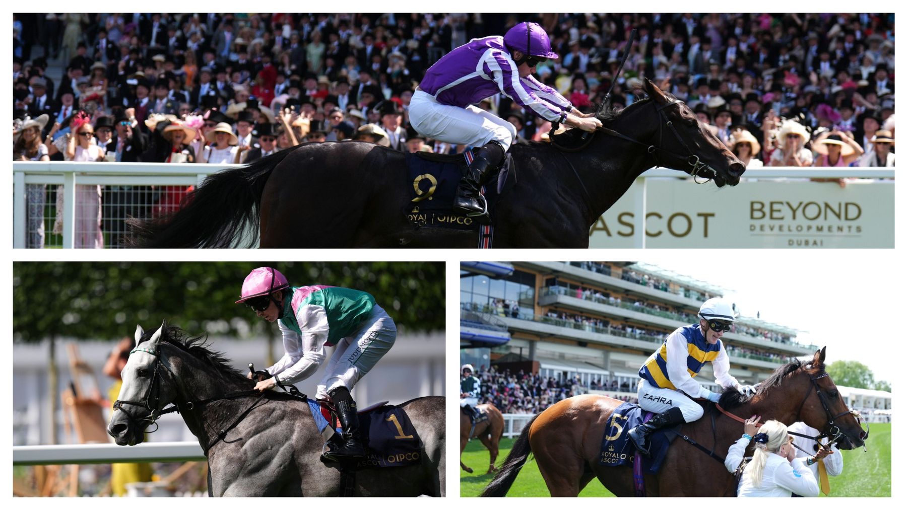 Royal Ascot 2025 analysis, day one: Field Of Gold, Gstaad and Docklands