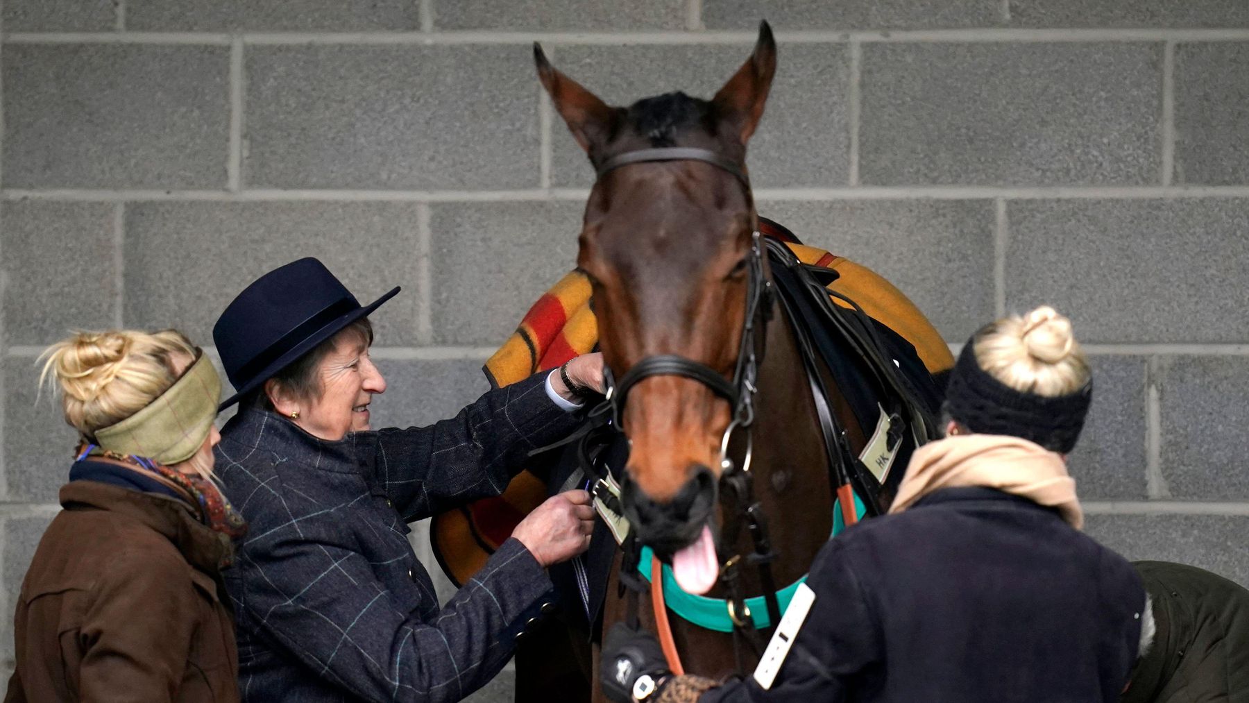 Henrietta Knight out of luck with first runners since training return