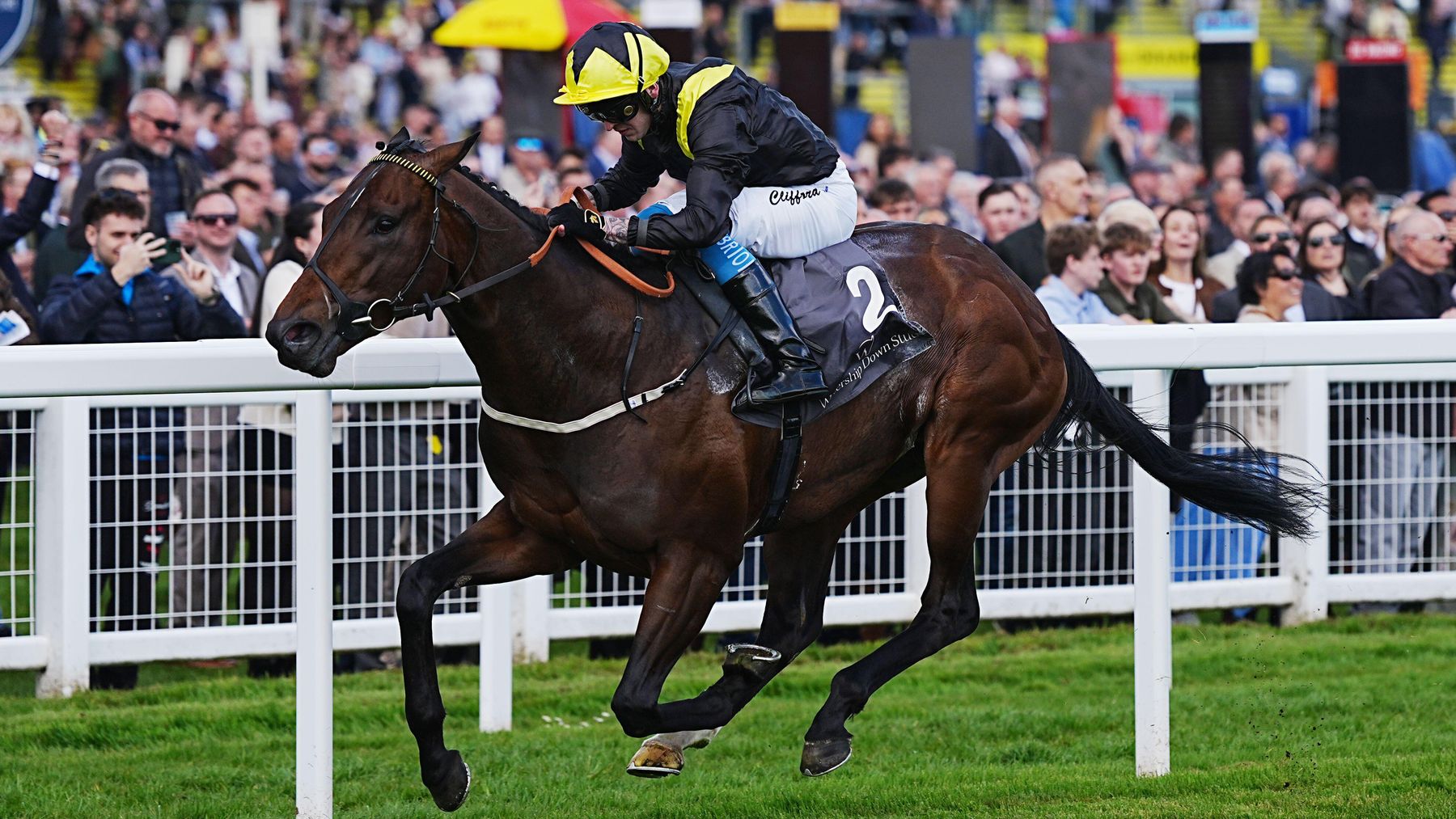 Irish 2000 and 1000 Guineas weekend: Donn McClean on the big races