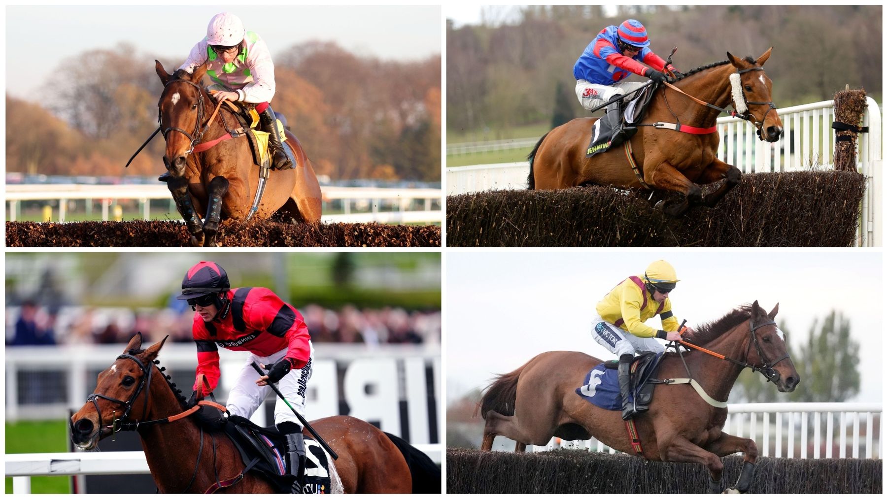Haydock tips: Sky Bet Peter Marsh Chase horse-by-horse guide