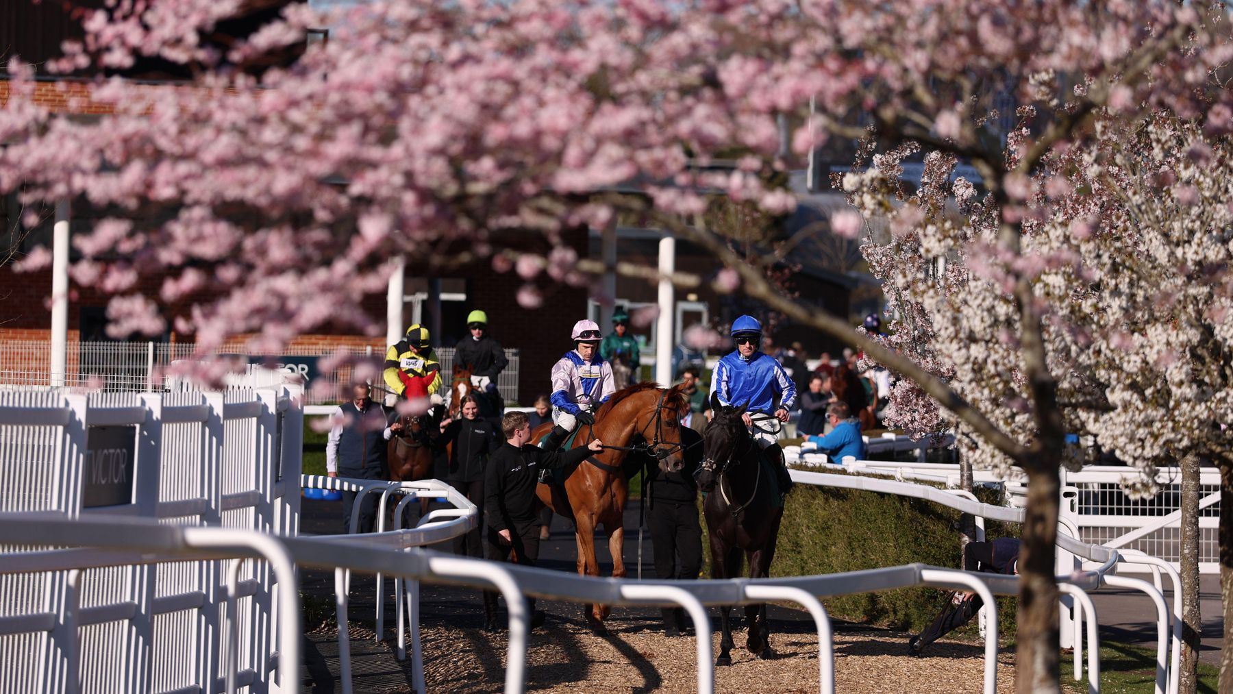 Live racing blog: Trackside Live updates from Lockinge day at Newbury