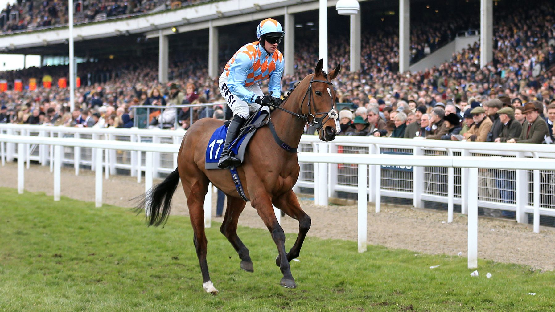 Breaking It Down: Murt Khan’s horse racing tips for Saturday's action