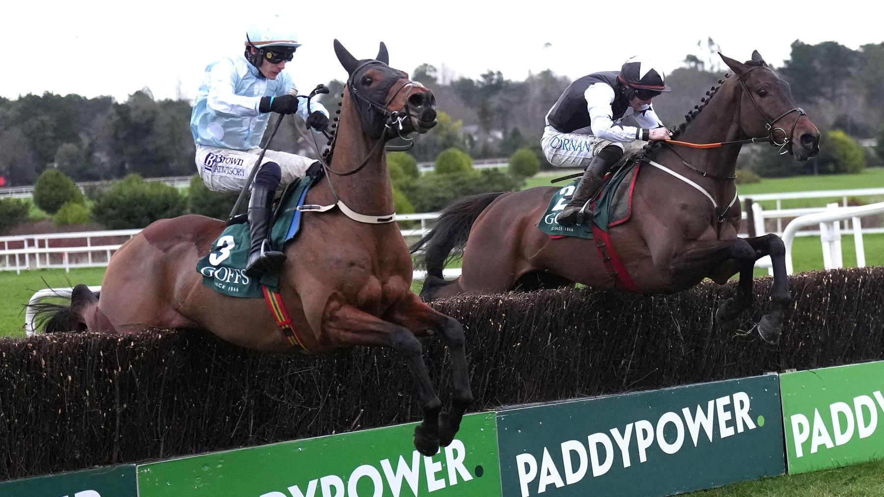Goffs Irish Arkle Novice Chase result, report and latest Arkle ...