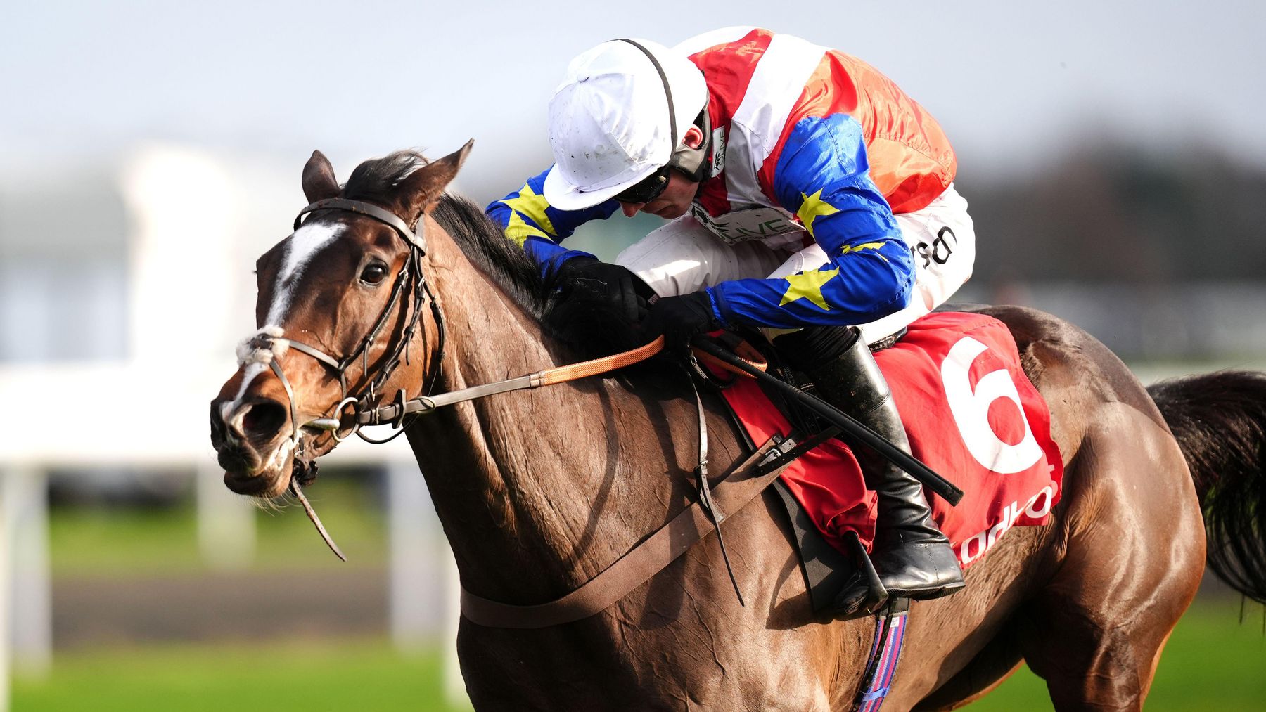 Live racing blog recap: Trackside Live updates from the Christmas ...