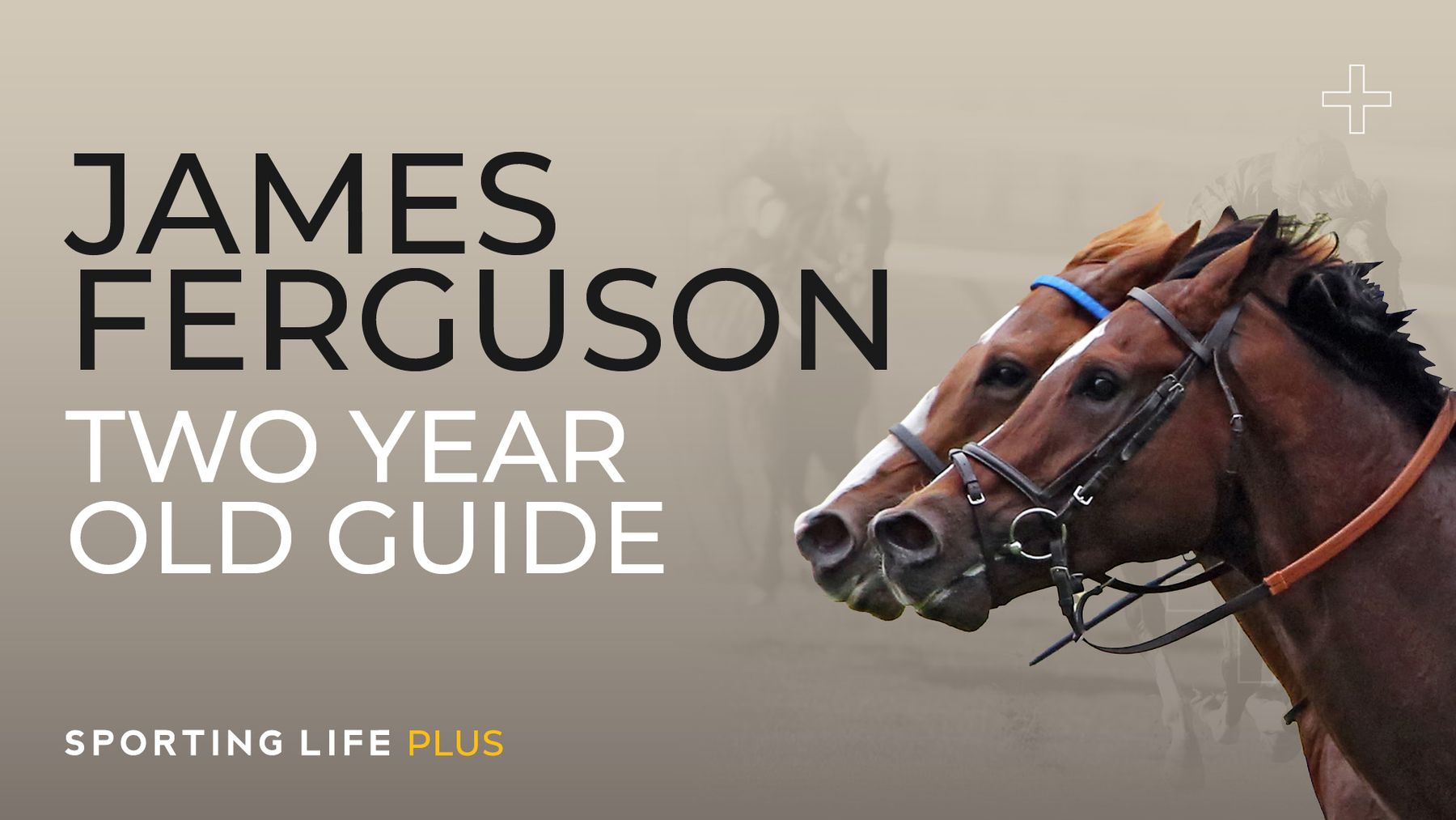 Dan Briden Two-Year-Old Guide: James Ferguson
