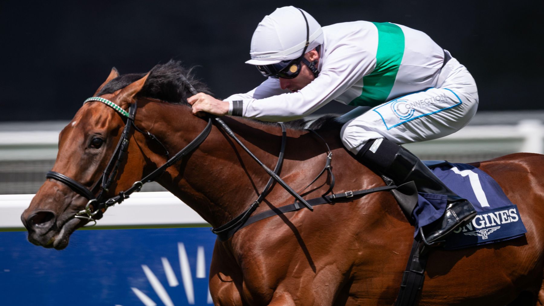 John & Thady Stable Tour: Guide to their 2025 team