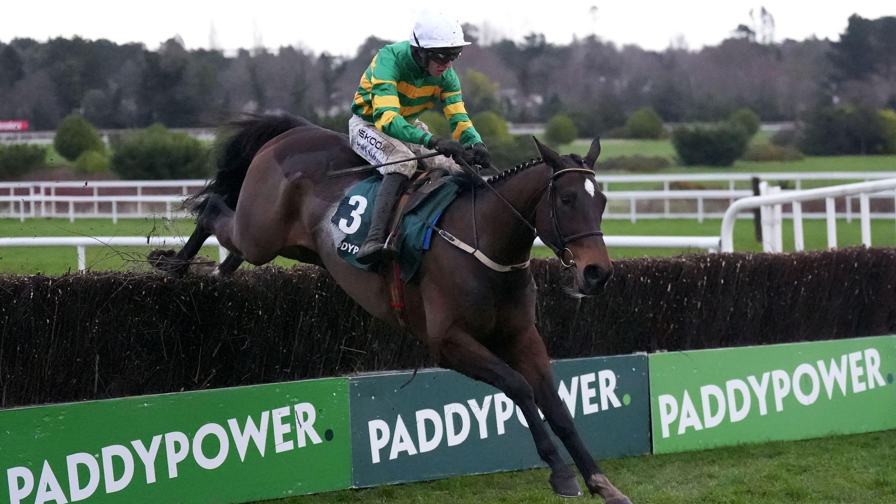 Dublin Racing Festival reaction: Vicki Gibbins on Monday's action