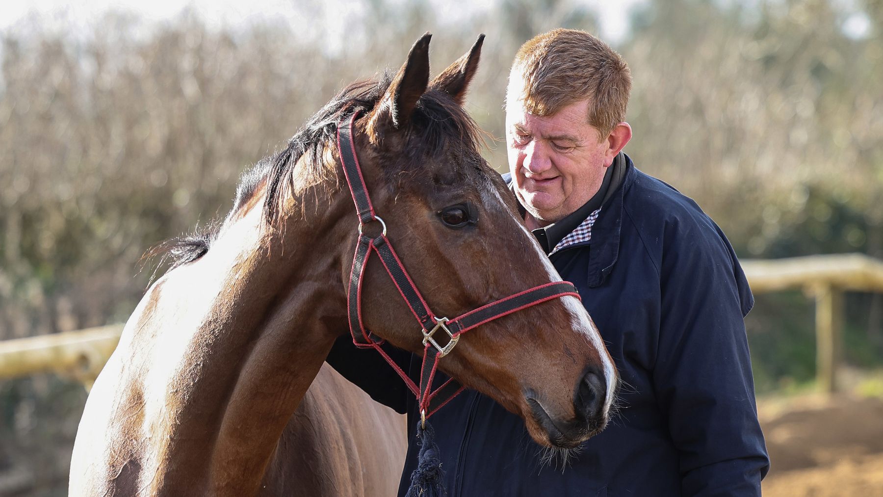 Grand National preview: Six Irish horses to consider at Aintree