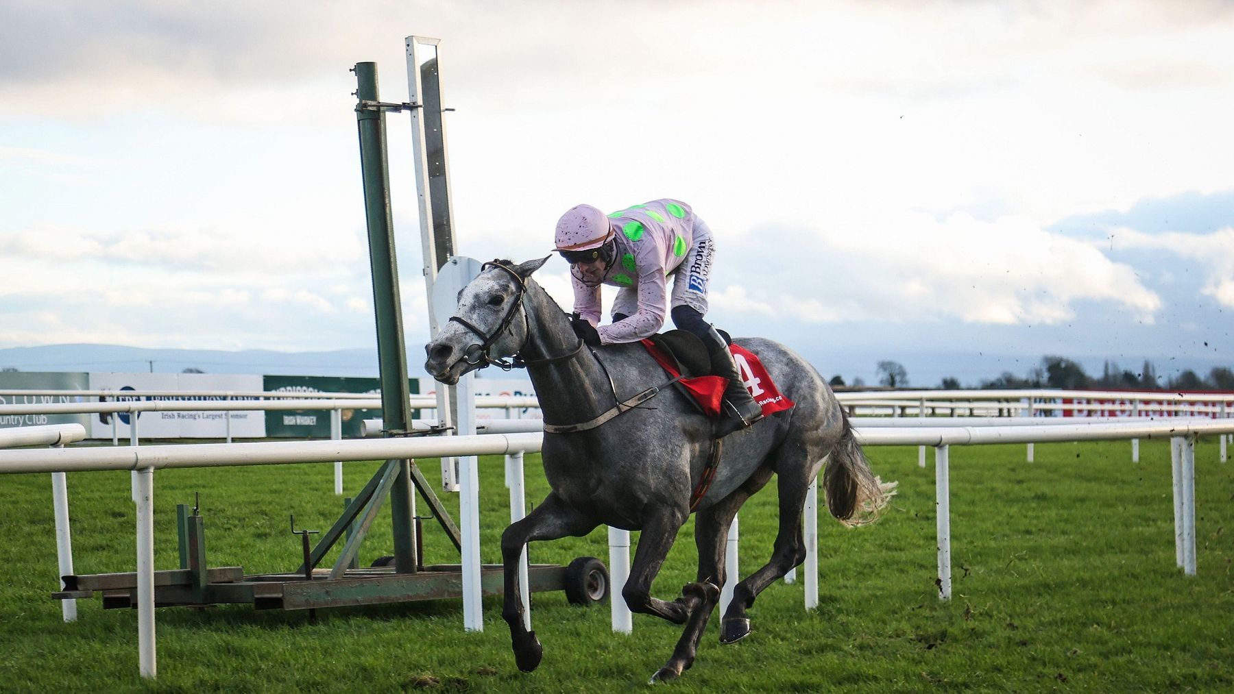 Ruby Walsh Cheltenham Festival preview: Mares races under the spotlight