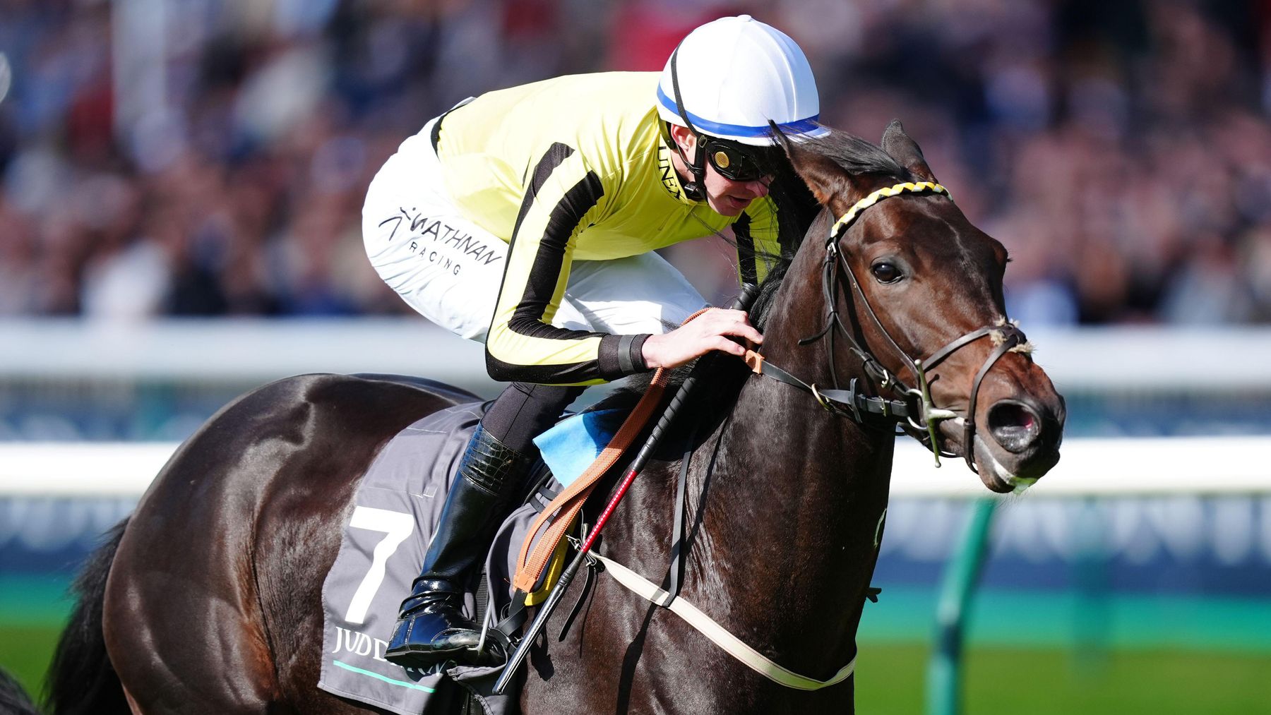 Wimbledon Hawkeye to miss Betfred Derby in favour of Royal Ascot run