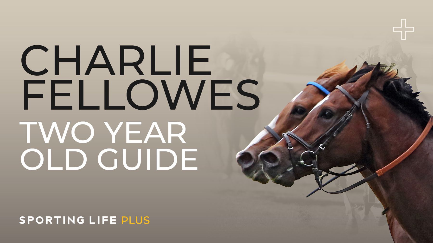 Dan Briden Two-Year-Old Guide: Charlie Fellowes