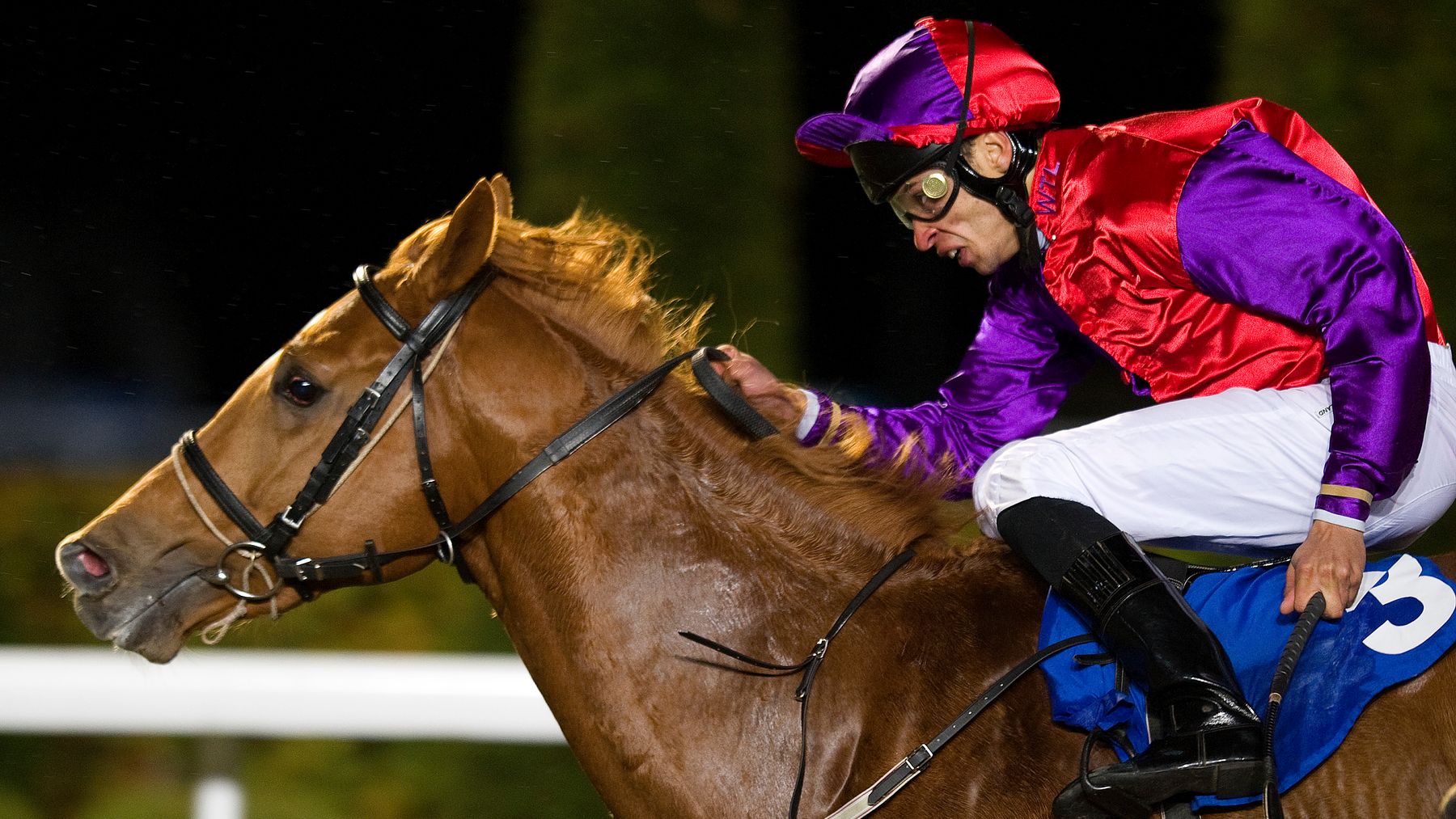 Free racing tips: Keith Hamer previews Tuesday's action with Nap and ...