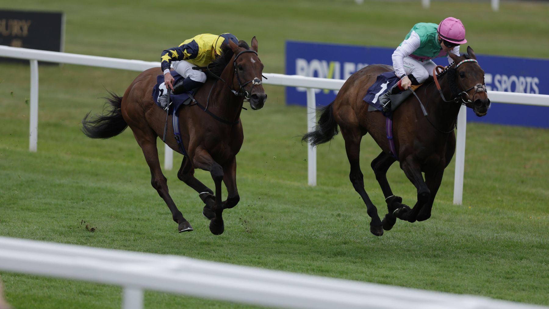 Live racing blog: Trackside Live updates from Lockinge day at Newbury