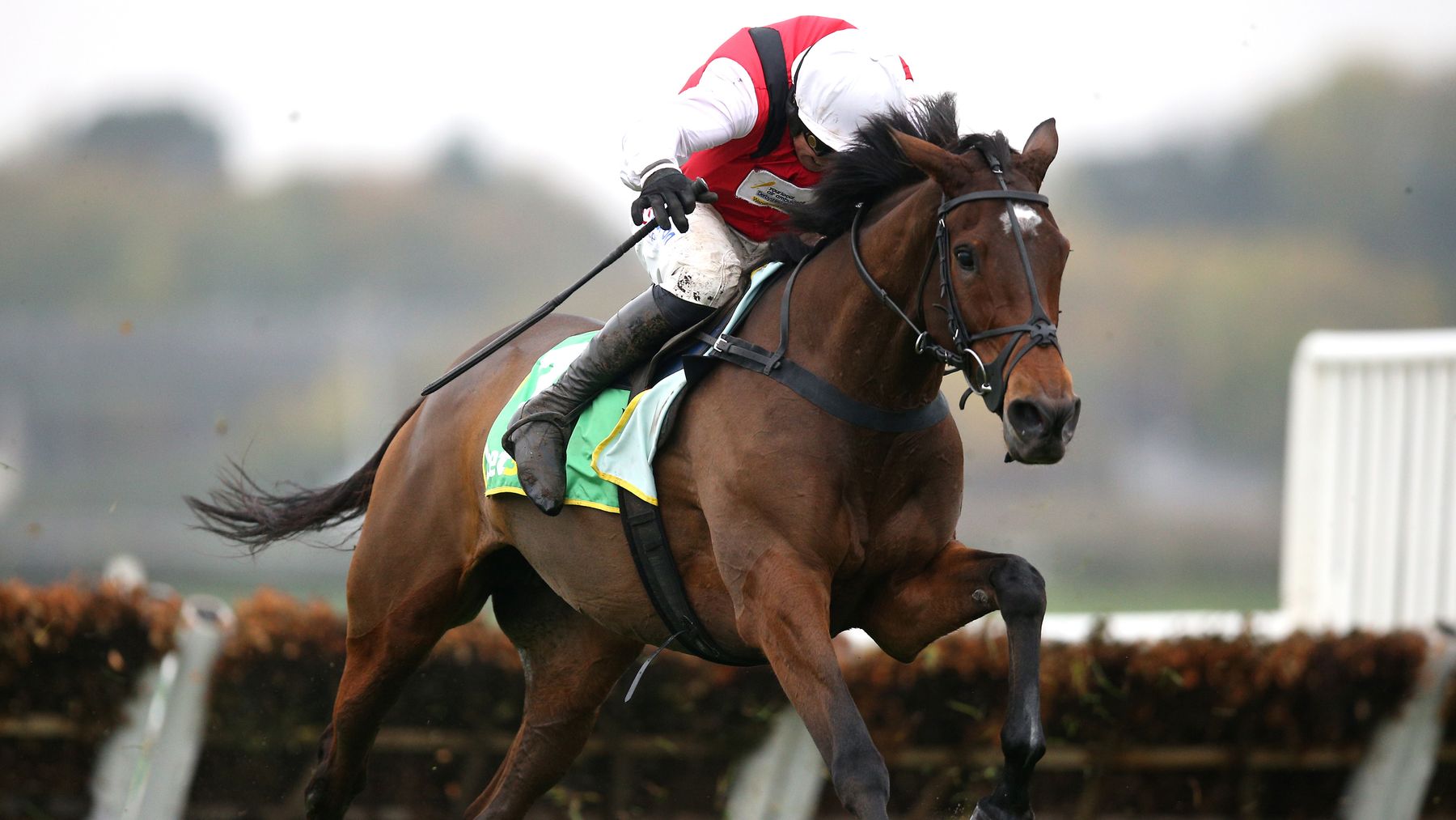 Molly Ollys Wishes granted again at Wetherby