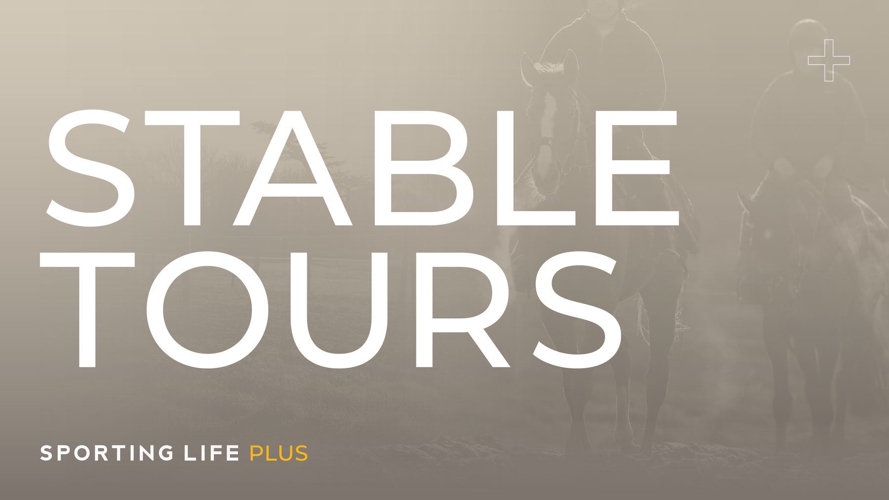 Cheltenham Festival 2026: Stable Tours including Willie Mullins, Gordon ...