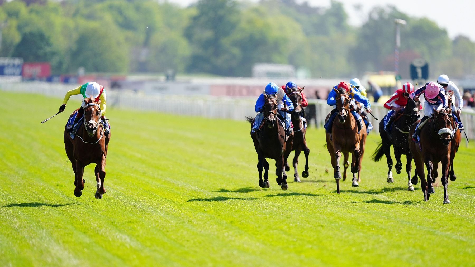 Timeform analysis | Strong form to follow