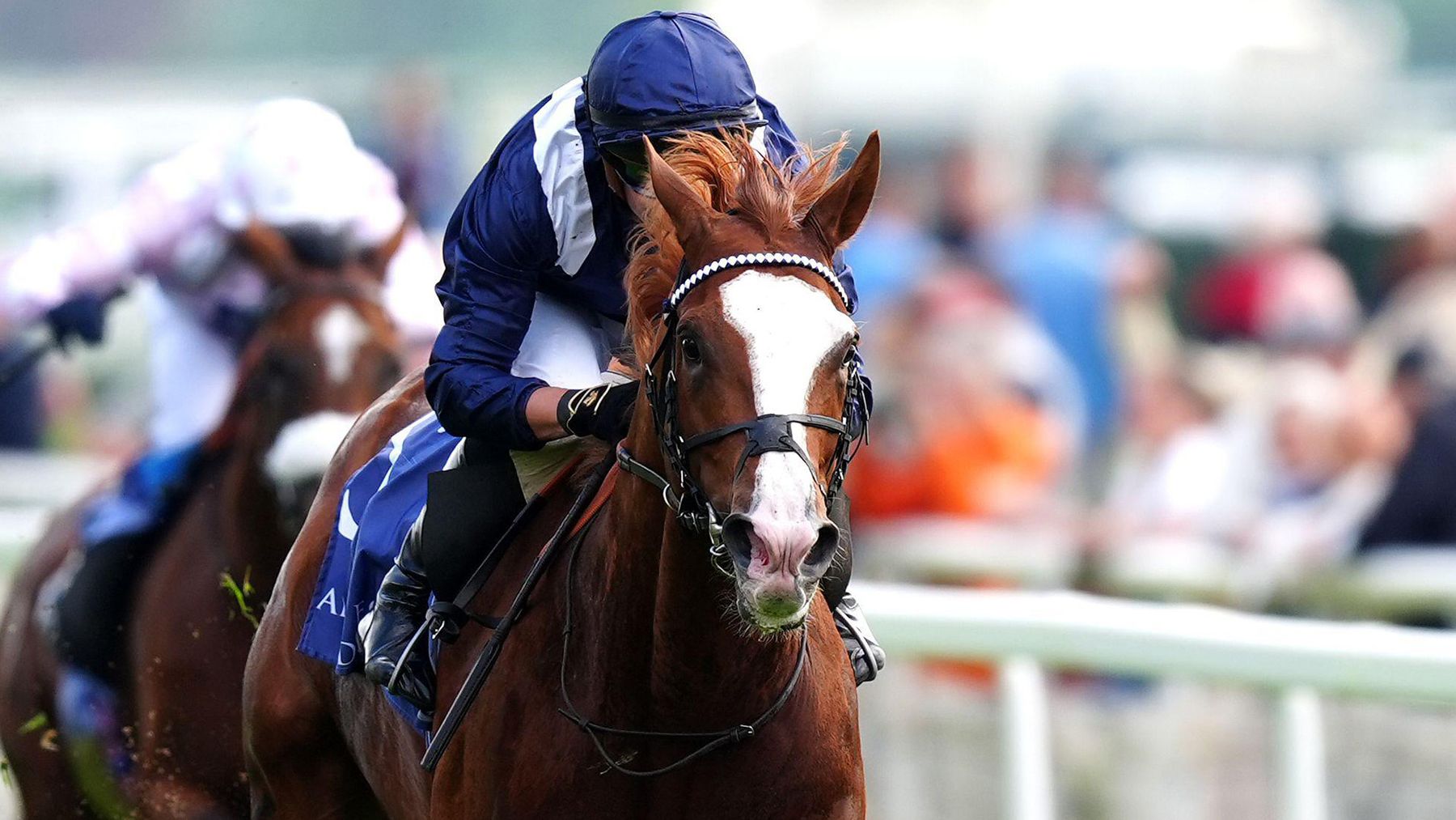 William Haggas ready for Champions Day battle with stable star Economics