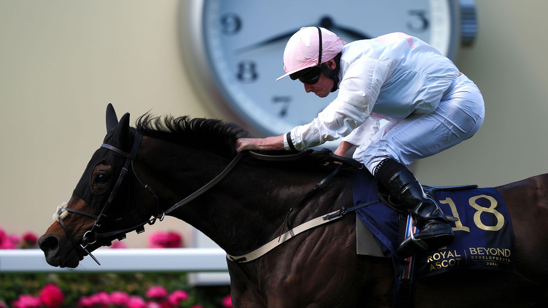 Sky Bet Ebor Festival preview: David Ord in Ireland alongside Paddy ...