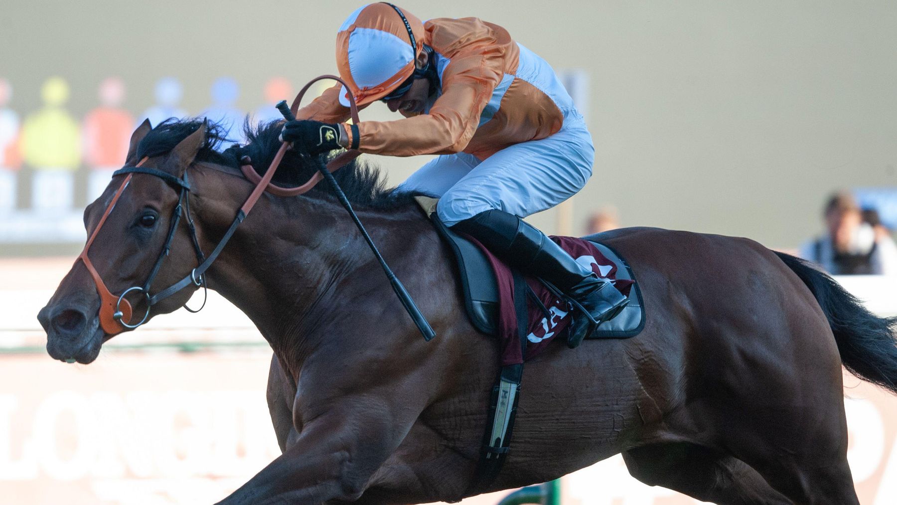 Ben Linfoot's Breeders' Cup Diary 2024 | The ghosts of Del Mar, plus ...